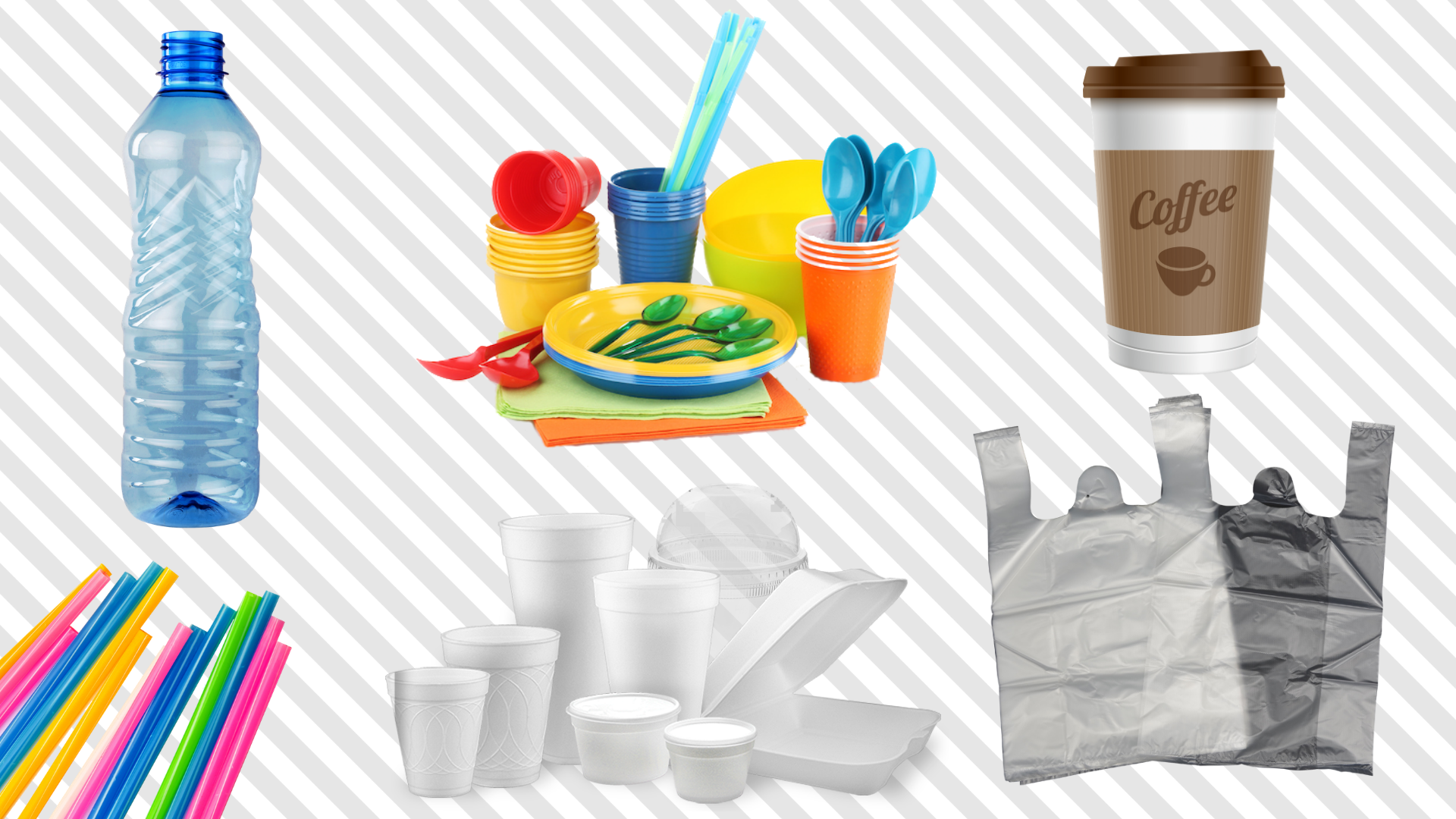 Plastics and Hormones - Dr. Maria Amasanti